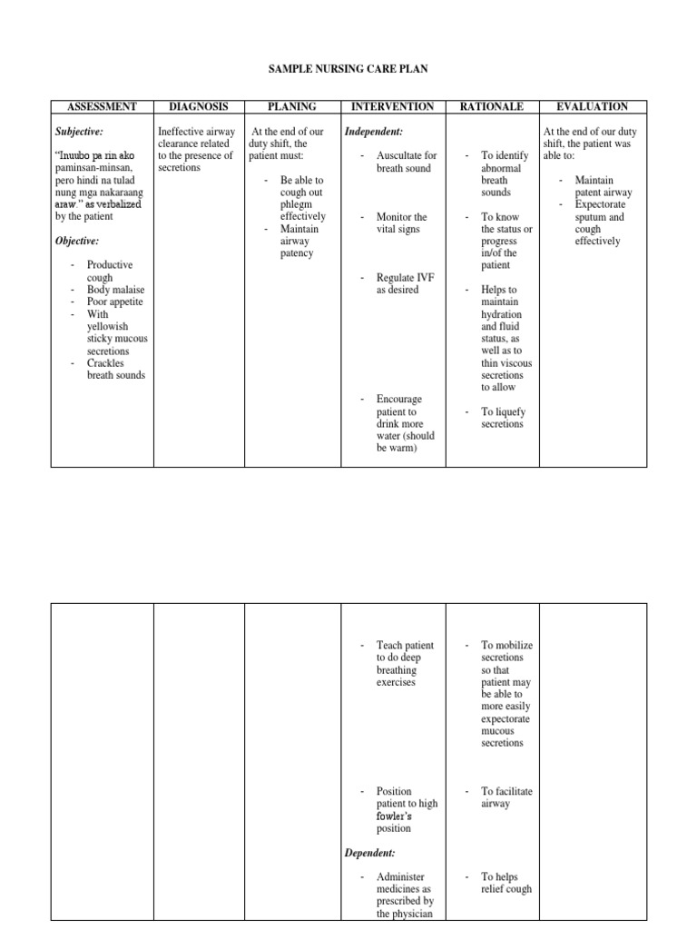 Sample Nursing Care Plan | PDF