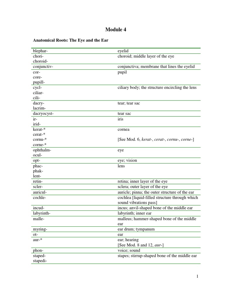 Module 4 CLST 301 | PDF | Ear | Senses