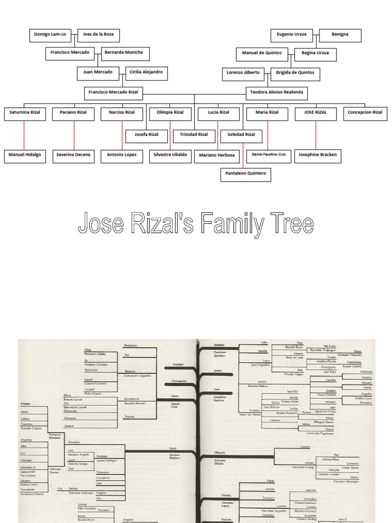Jose Rizal Ancestry Family Tree - vrogue.co