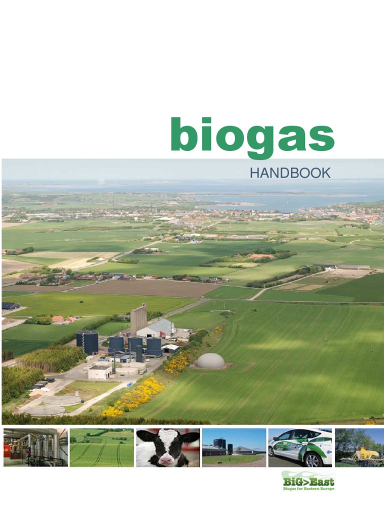 Biogas Handbook | PDF