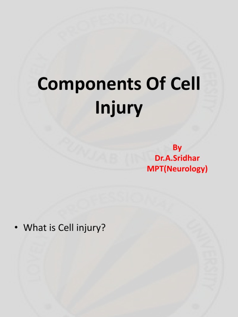 Cell Injury Pathology | PDF | Necrosis | Apoptosis