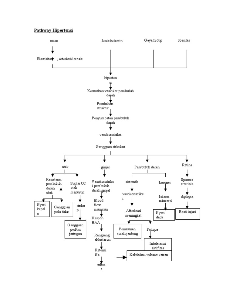 pathway hipertensi
