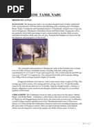 Child Study Report DSWD | PDF | Mother | Child Custody