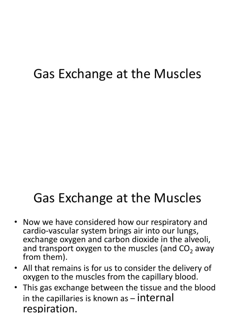 Muscle Oxygen Exchange Explained | PDF | Blood | Oxygen