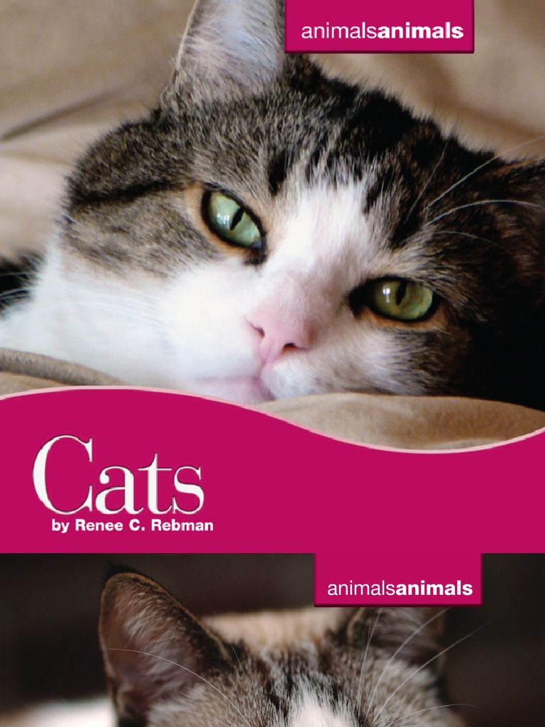 Cats | PDF | Cats | Felidae