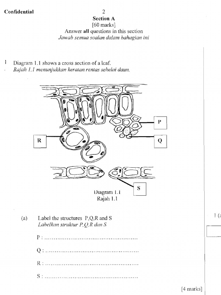 Jnwuh Semua Socilan Ckilam H Zhugiun Ini: (60 Marks) Answer Questions ...