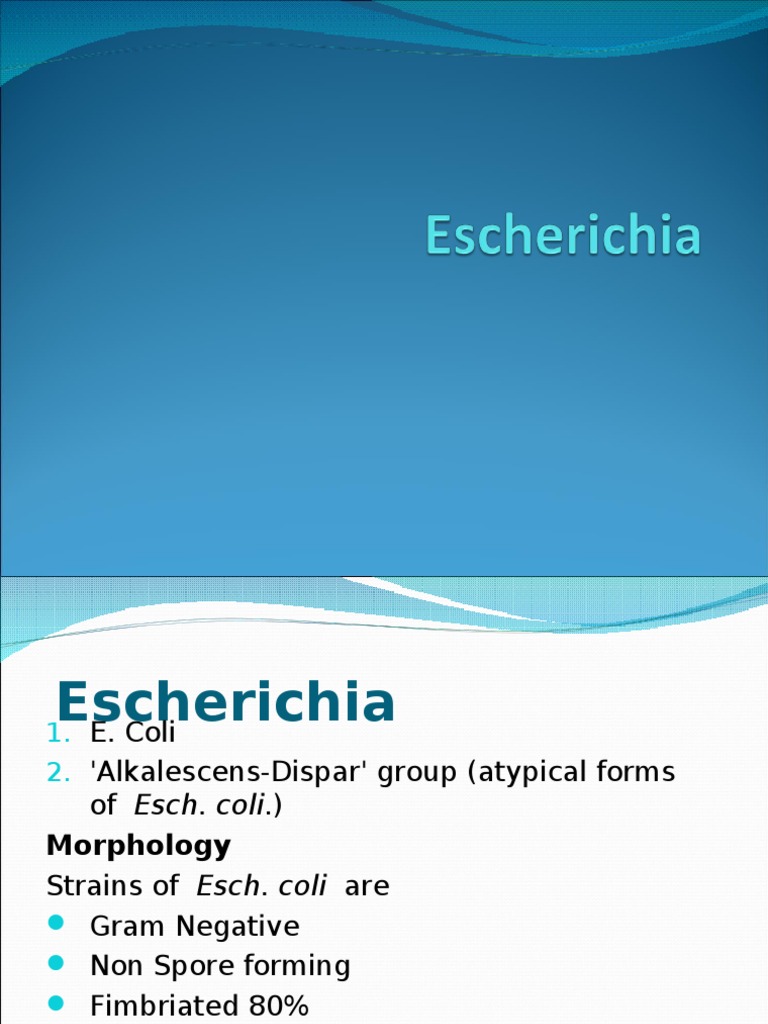 Escherichia Coli | PDF | Infection | Diarrhea