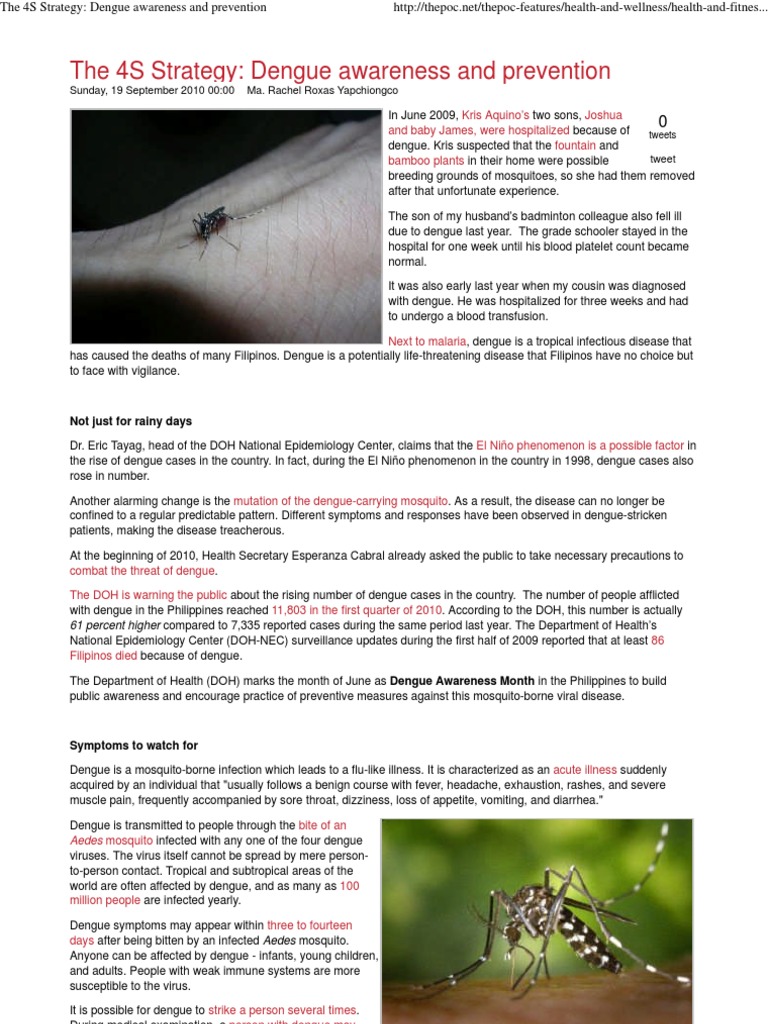 The 4S Strategy - Dengue Awareness and Prevention | Download Free PDF ...