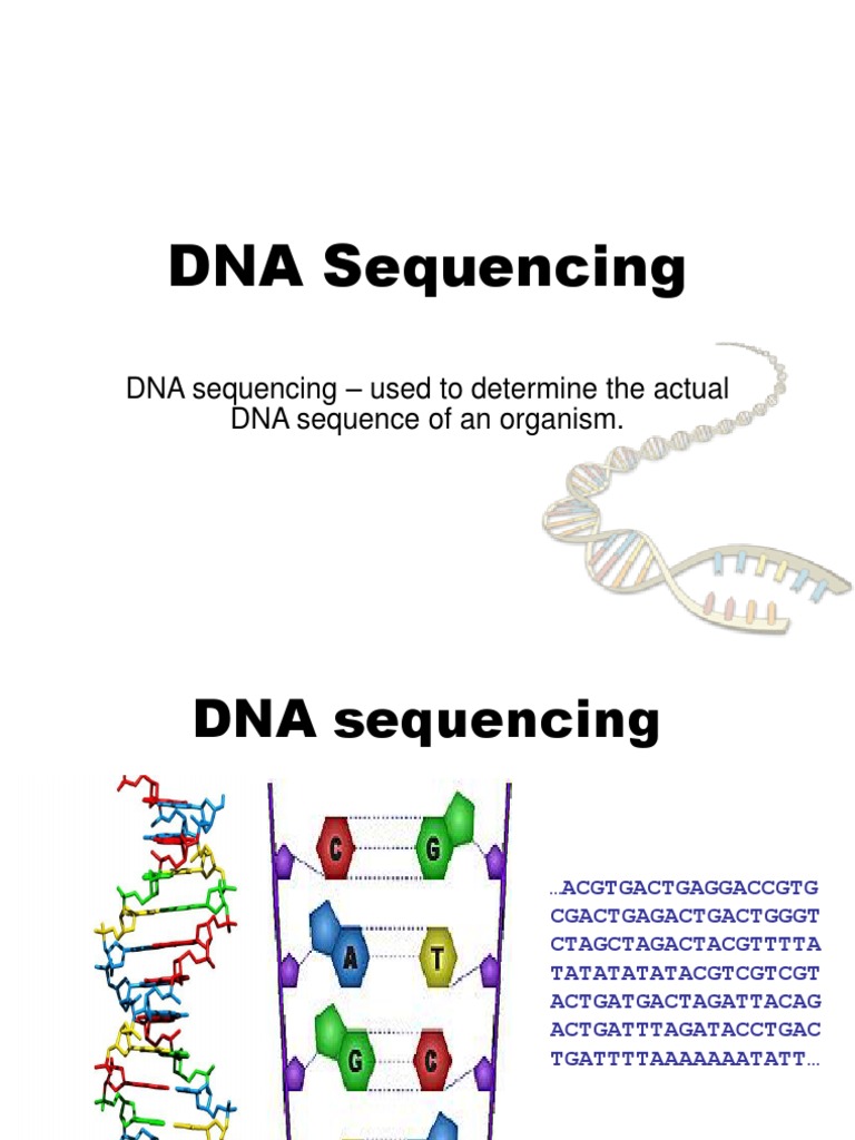 Overview of DNA Sequencing Methods | PDF | Dna Sequencing | Primer ...