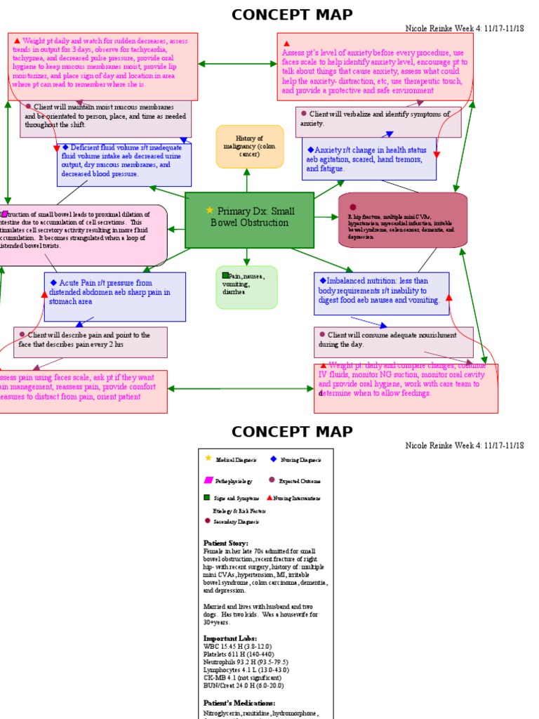 Concept Map | PDF | Nausea | Pain