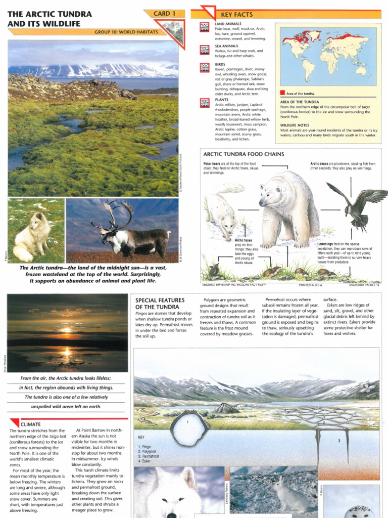 Wildlife Fact File - World Habitats - Pgs. 1-10 | PDF | Coral Reef | Alps