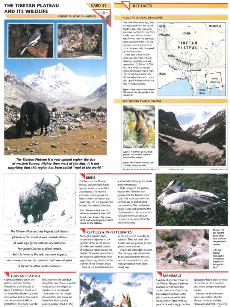 Wildlife Fact File - World Habitats - Pgs. 31-40 | PDF | Desert | Sea