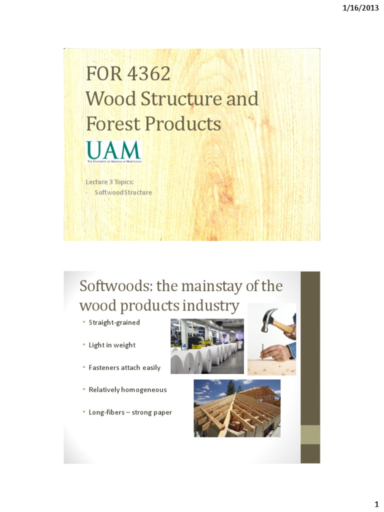 FOR 4362 Wood Structure and Forest Products: Softwoods: The Mainstay of ...