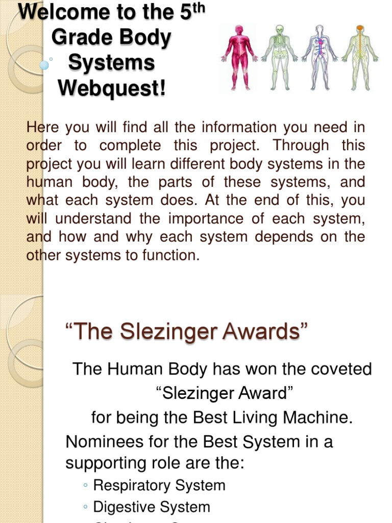 Body Systems Webquest | PDF | Quiz | Learning