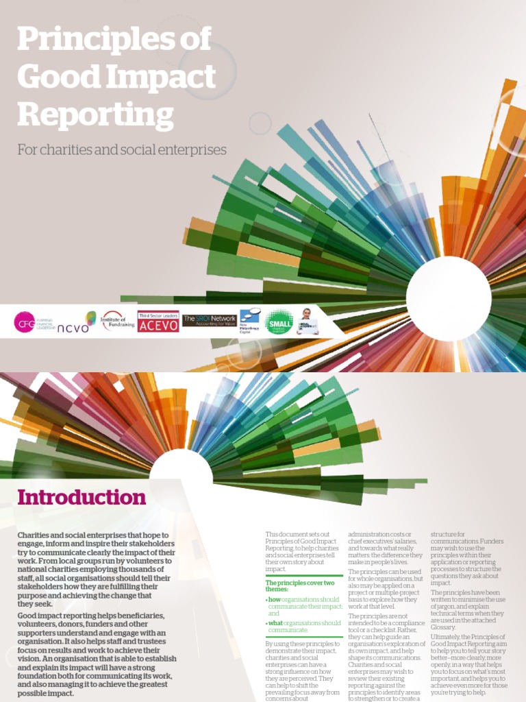 Principles of Good Impact | PDF | Charitable Organization | Social ...