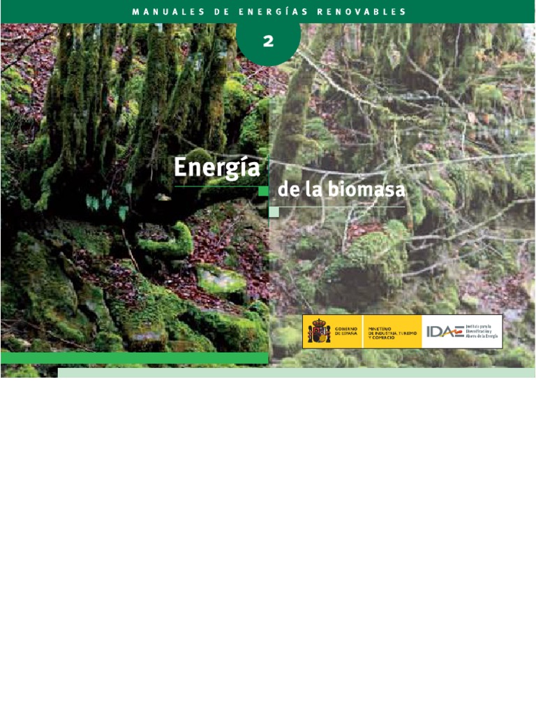 Energia de La Biomasa | PDF | Biomasa | Biocombustible