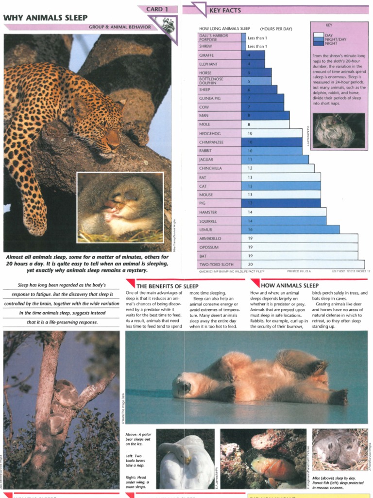 Wildlife Fact File - Animal Behavior - Pgs. 1-10 | PDF | Bird Migration ...