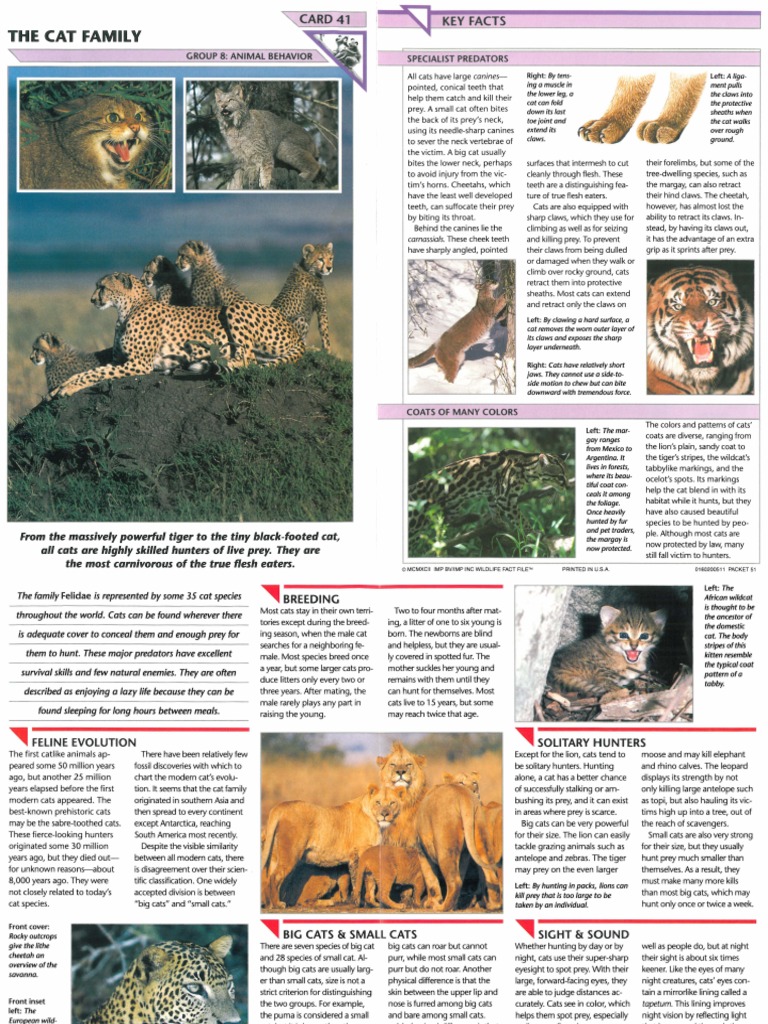 Wildlife Fact File - Animal Behavior - Pgs. 41-50 | PDF | Snake | Olfaction