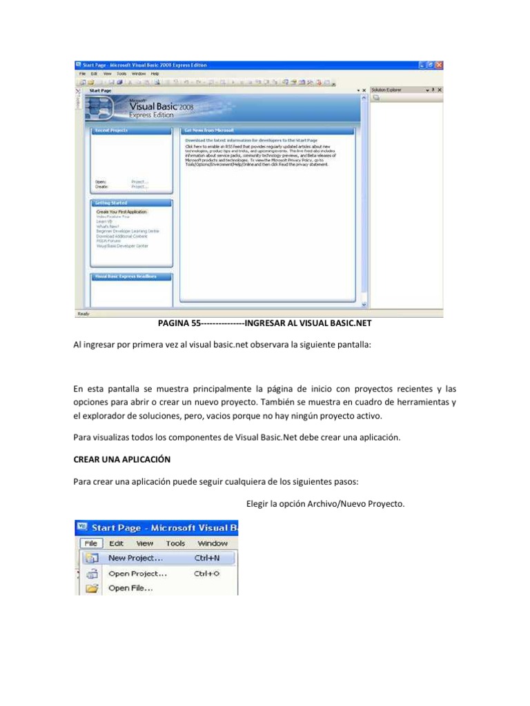 Manual Visual Basic | PDF