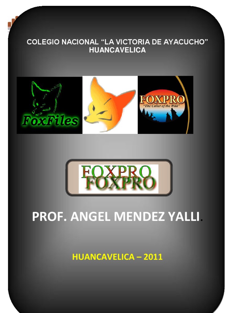 Elementos de La Ventana de Visual Foxpro | PDF | Ventana (informática) | Point and Click
