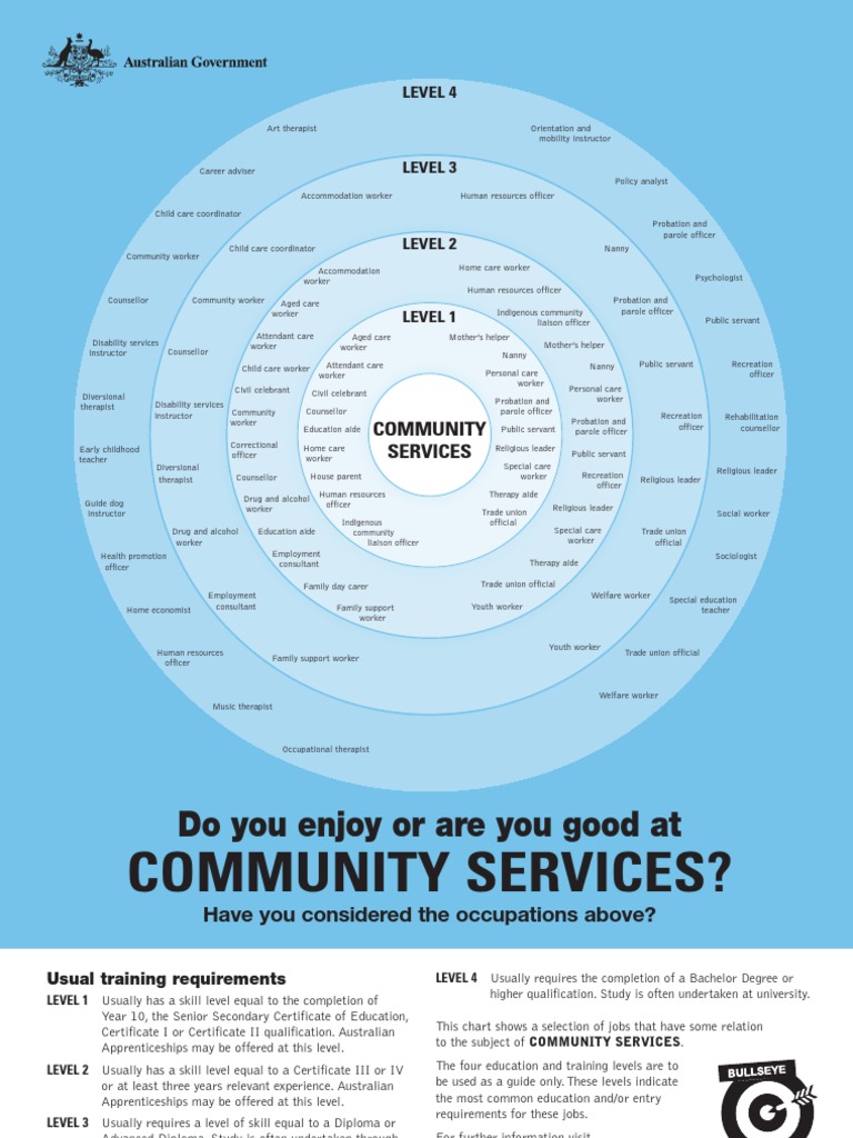 Community Services Bullseye Chart | Nanny | Academic Certificate
