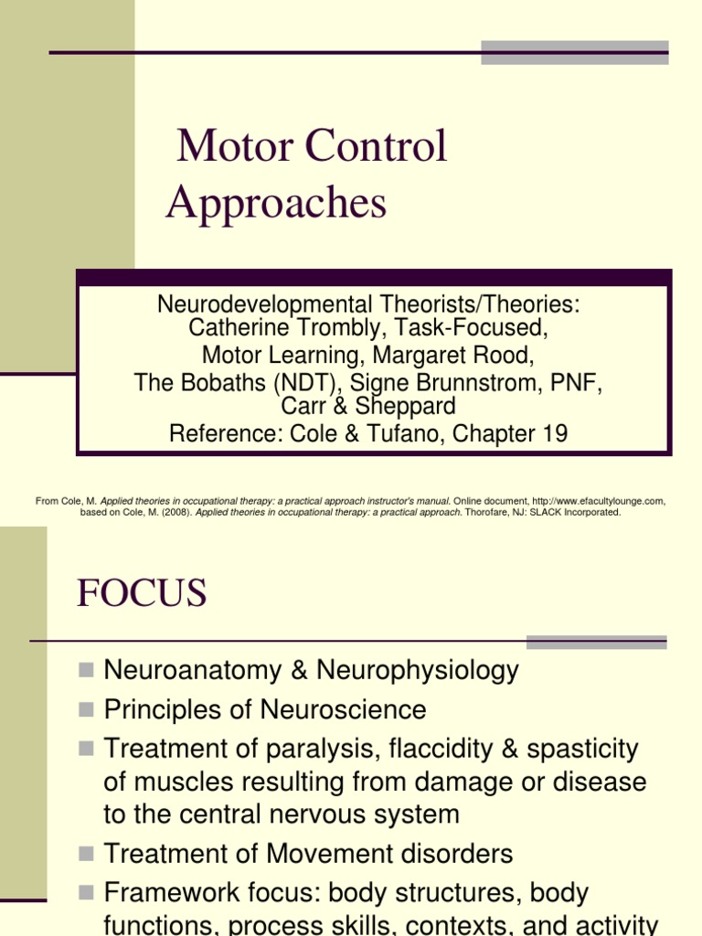 Motor Control | PDF | Occupational Therapy | Motor Control
