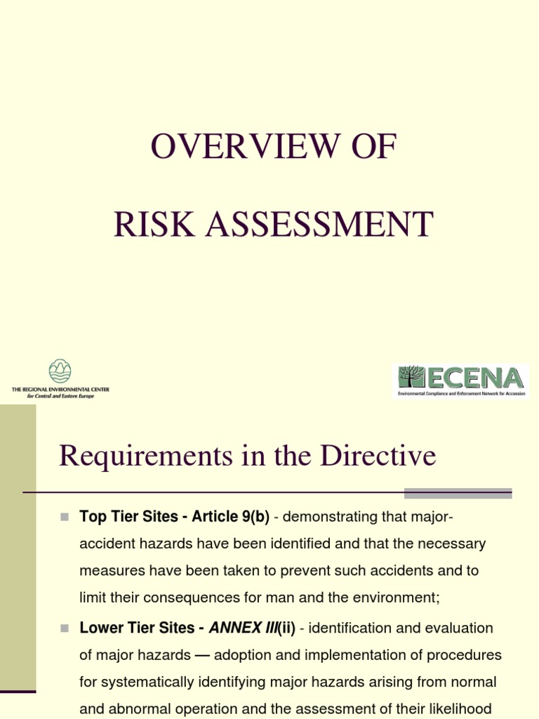 Presentation Risk Assessment | PDF | Risk Assessment | Risk