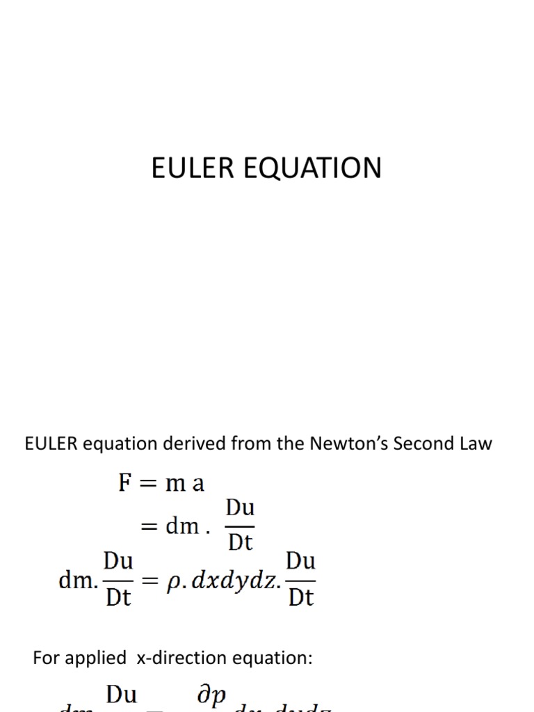 EULER Equation | PDF