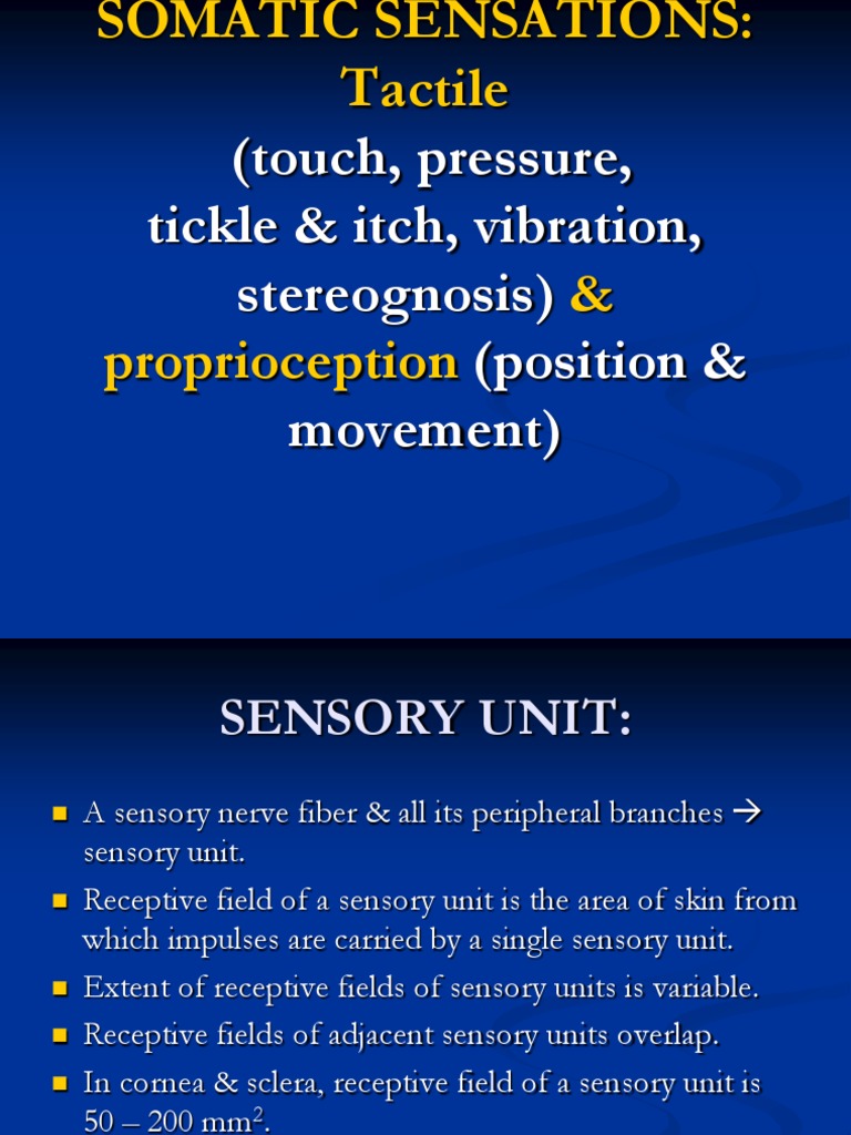 LECT. 4, SOMATIC SENSATIONS For 2nd Year Mbbs Students | PDF ...