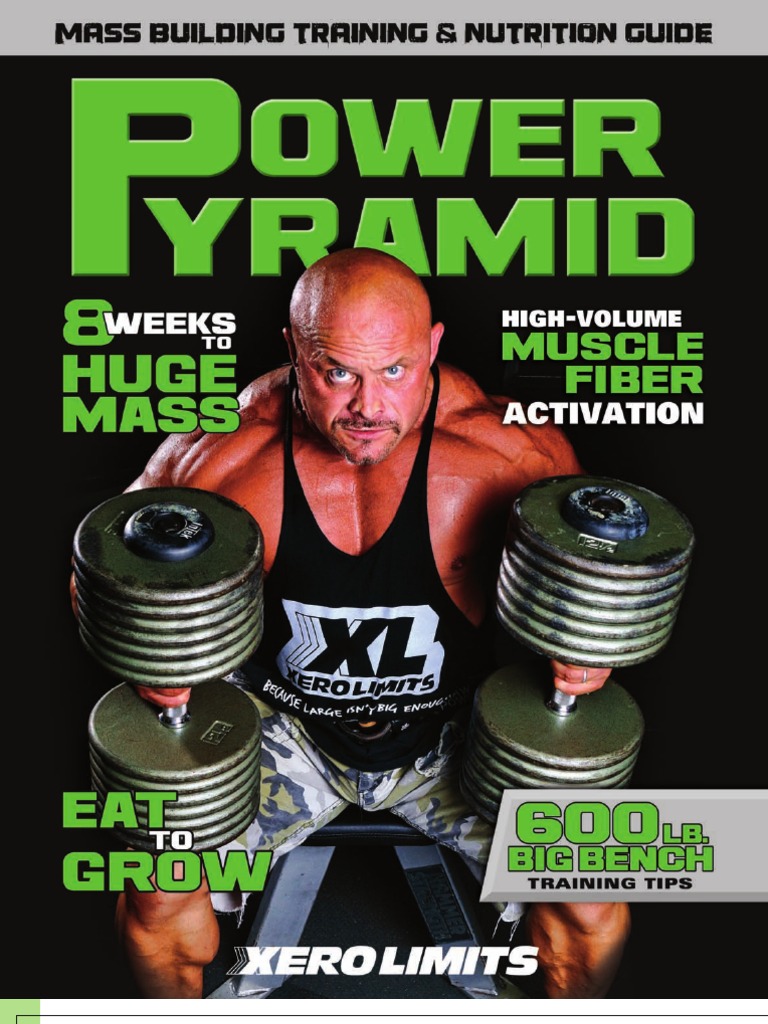 Power Pyramid | PDF | Muscle | Dieting