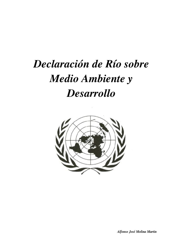 Declaracion de Rio | PDF | Naciones Unidas | Relaciones Internacionales