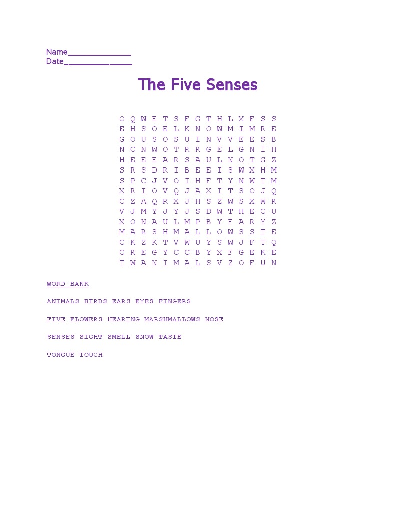 The Five Senses Word Search | PDF
