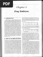 48 96 Hour Chick Embryo Wholoe Mount and Serial Sections Embryology ...