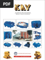 Swelore Dosing Pumps Overview | PDF | Pump | Valve