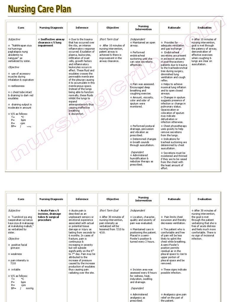 Ineffective Airway Clearance Nursing Care Plan Pneumonia Pneumonia