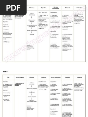 Ineffective Airway Clearance Care Plan Pdfshare