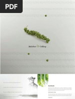 Aai Guidelines | PDF | Zoning | Map