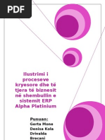 Deklarate e Statusit Personal | PDF