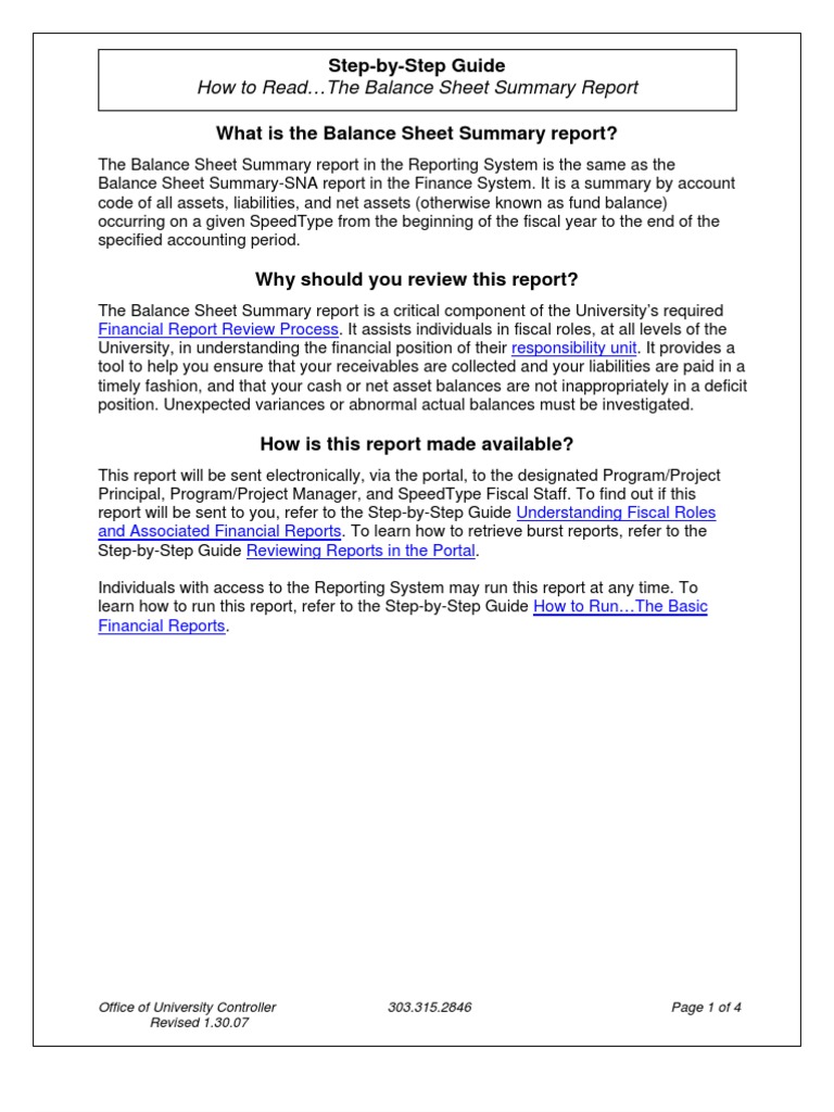 How To Read The Balance Sheet Summary Report: Step-by-Step Guide | PDF ...