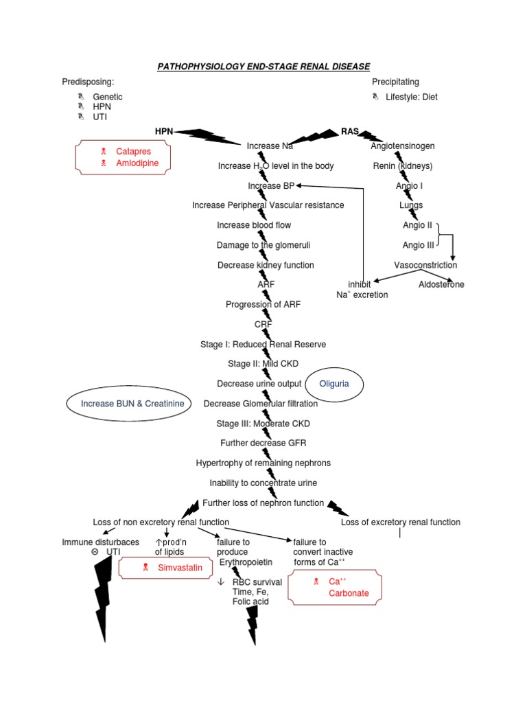 End-Stage Renal disease | Chronic Kidney Disease | Kidney
