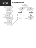Pa Tho Physiology of Pyelonephritis | PDF | Self-Improvement | Wellness