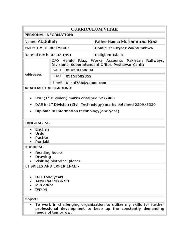 Abdullah's Professional CV and Skills | PDF | Career & Growth | Art