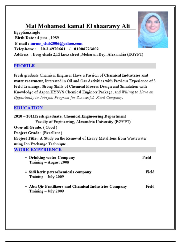 Female Data Entry Engineer CV/Resume Sample | PDF