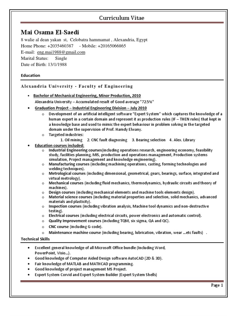Female Data Entry Engineer CV/Resume Sample | PDF | Machines | Engineering