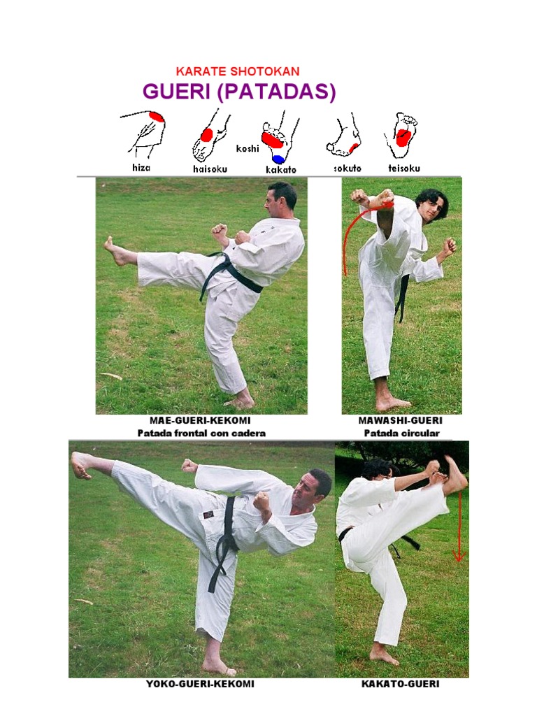Patada Circular De Taekwondo