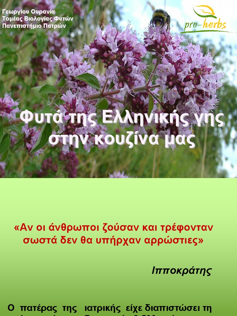 ΦΥΤΑ ΤΗΣ ΕΛΛΗΝΙΚΉΣ ΓΗΣ ΣΤΗΝ ΚΟΥΖΙΝΑ ΜΑΣ1 PDF | PDF