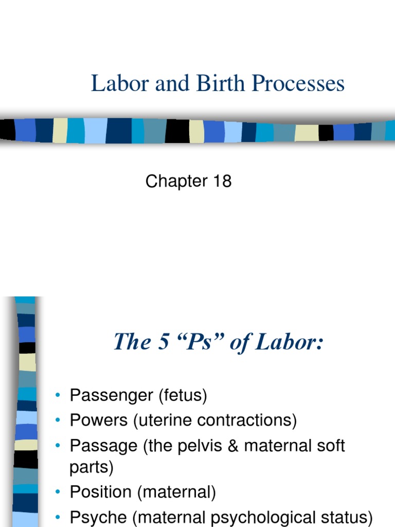 Labor and Birth Processes | Pelvis | Childbirth