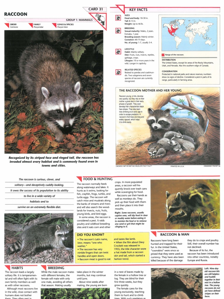 Wildlife Fact File - Mammals - Pgs. 31-40 | PDF | Leopard | Hippopotamus