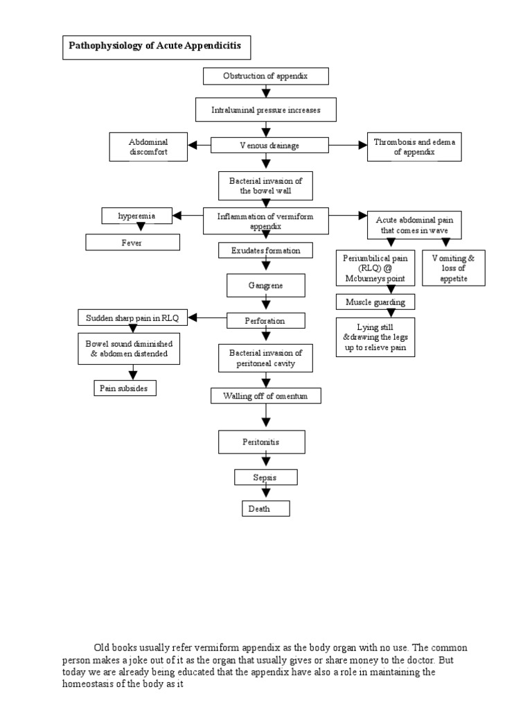 Pa Tho Physiology of Acute Appendicitis | PDF