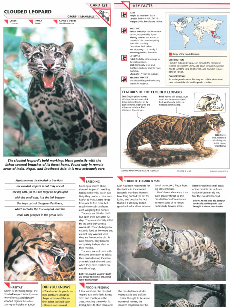 Wildlife Fact File - Mammals, Pgs. 121-130 | PDF | Gray Wolf | Killer Whale